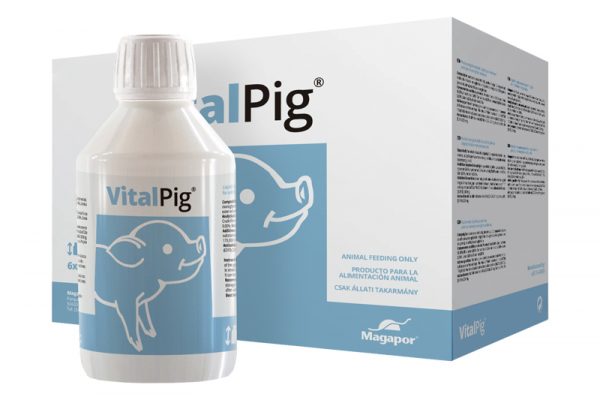 Vitalpig, Liquid complementary feed for piglets | Magapor